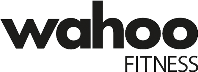 Наши Услуги - Студия спортивной биомеханики Бирота